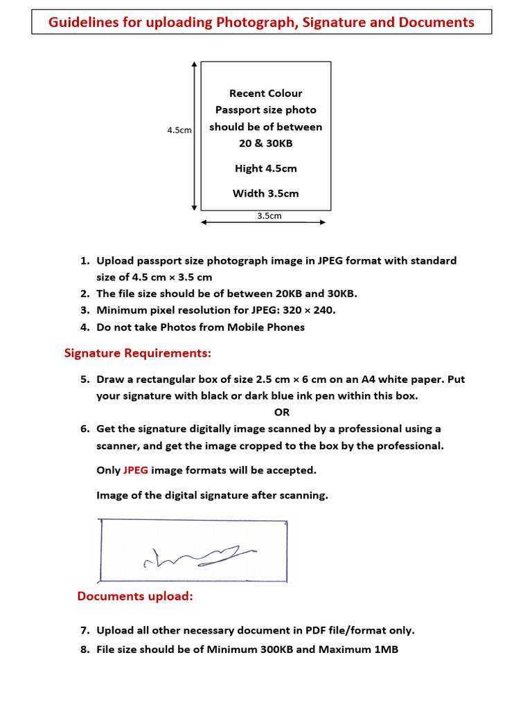 Guidelines | PDF