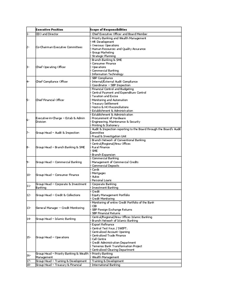 Executive Position Scope of Responsibilities | PDF | Insurance | Employment