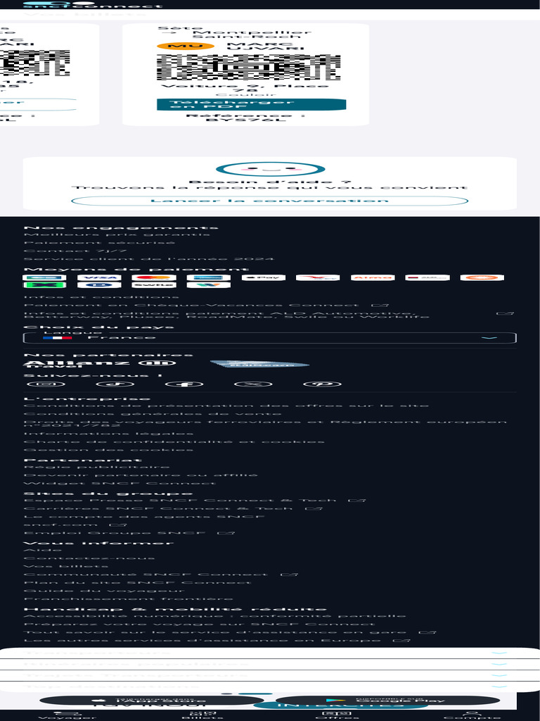 SNCF Connect - Consultation - Détail De(s) Billet(s) | PDF