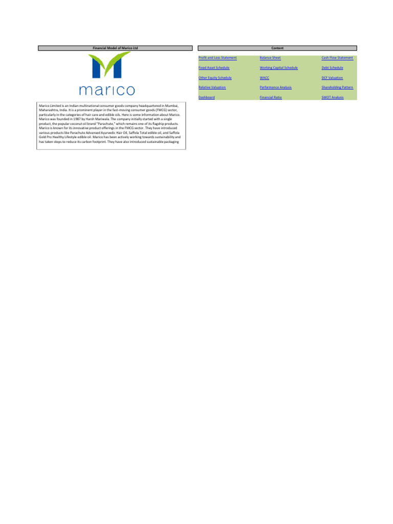 Marico Financial Statement | PDF