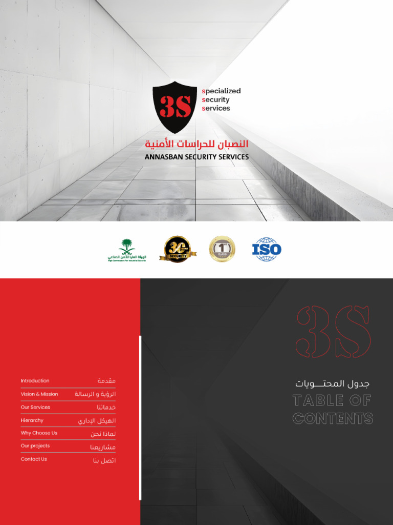 3s Security Profile 2024 | PDF