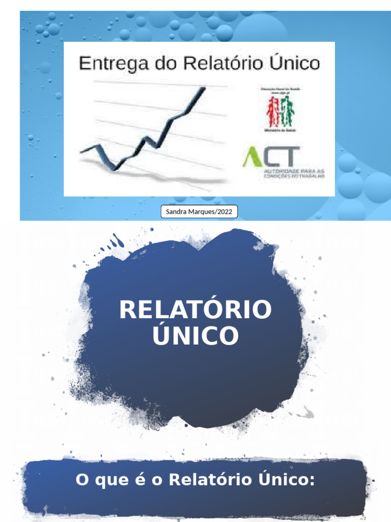Relatório Único | PDF