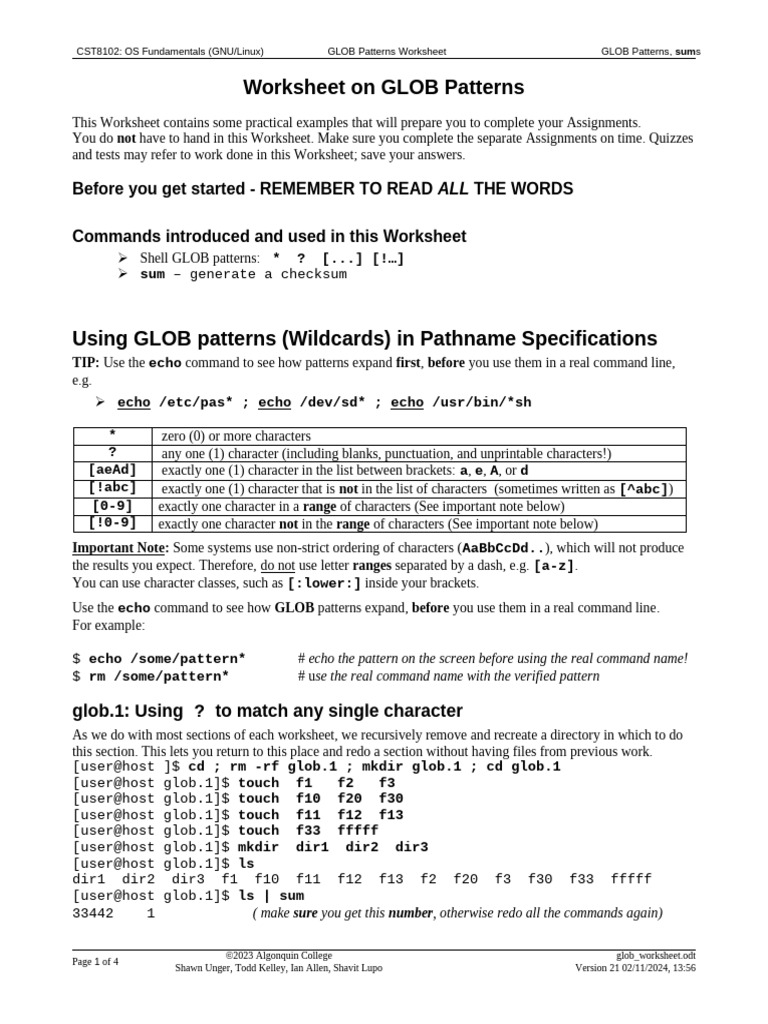 Glob Worksheet | PDF