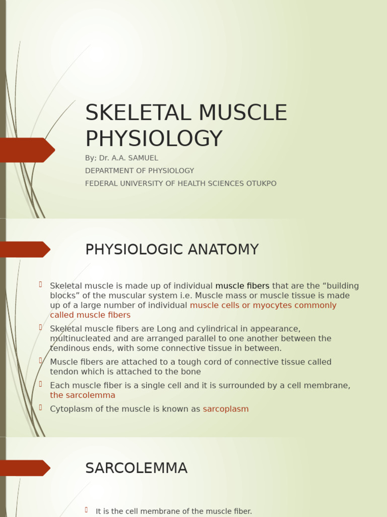 Skeletal Muscle Physiology by Aa Samuel | PDF
