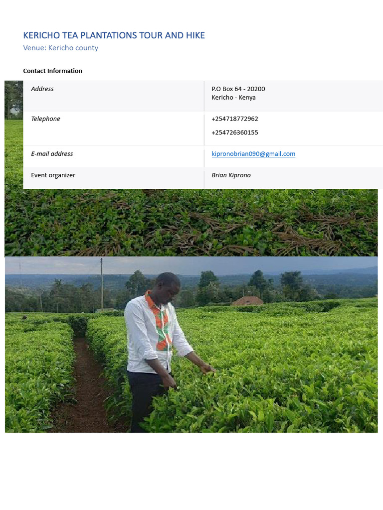 Kericho Tea Plantations Tour and Hike | PDF
