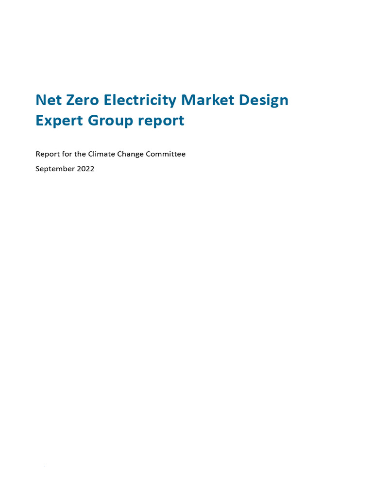 Net Zero Electricity Market Design Expert Group | PDF