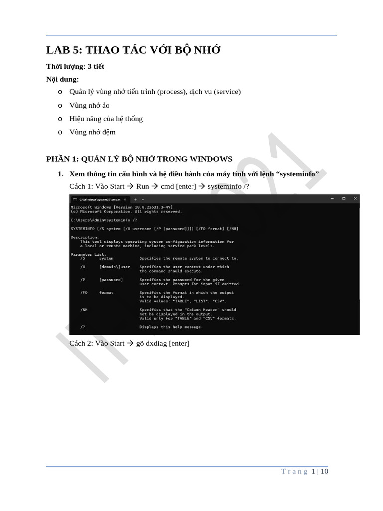 Lab5 - Thao Tac Voi Bo Nho Win-Linux | PDF
