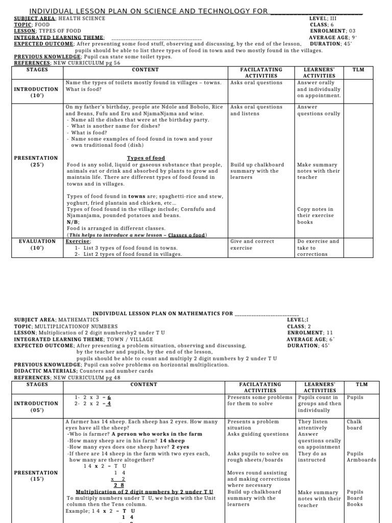 Individual Lesson Plan | PDF