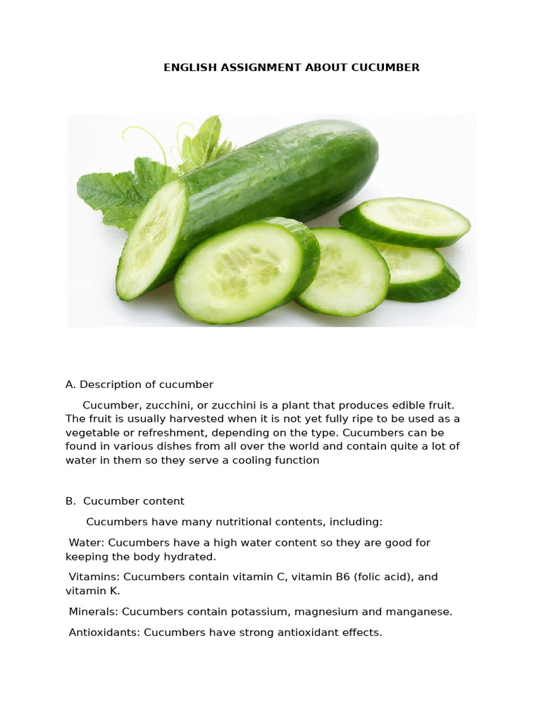 English Assignment About Cucumber | PDF