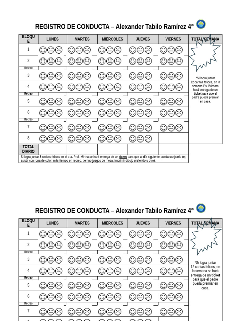 Registro de Conducta | PDF
