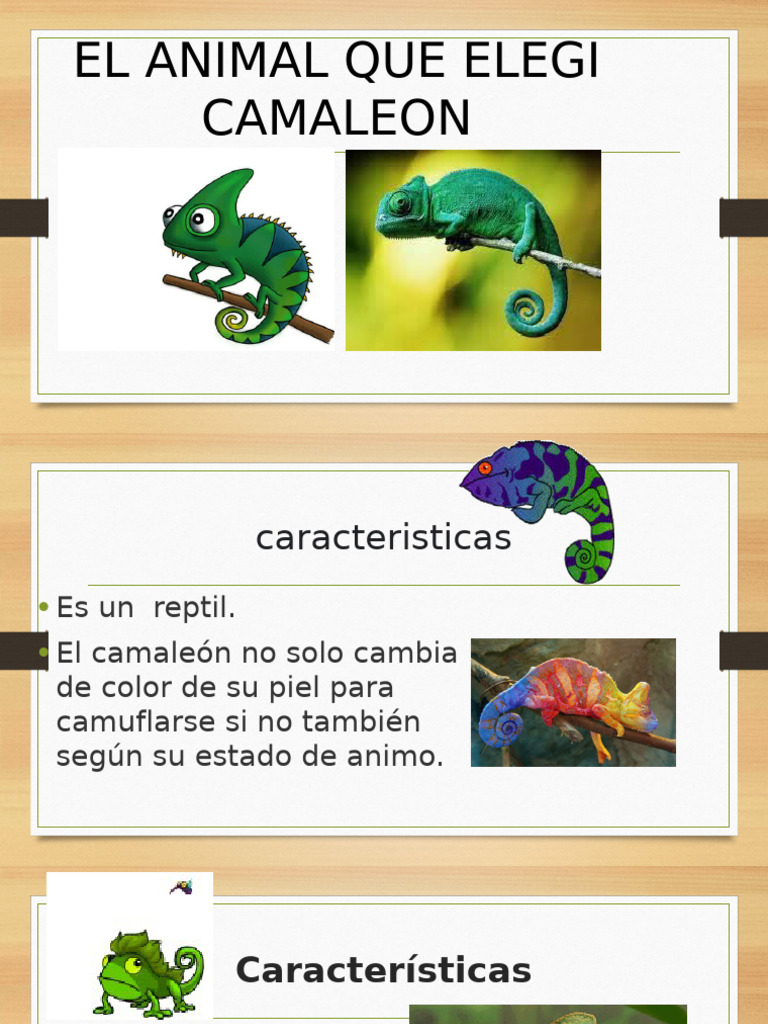 Diapositiva Johan Anthony Pedraza Cabrera | PDF