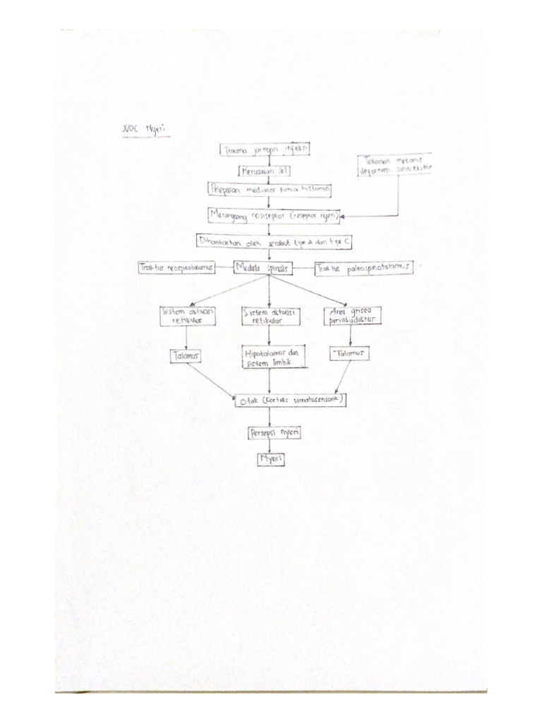 Woc Patway SC & Nyeri | PDF