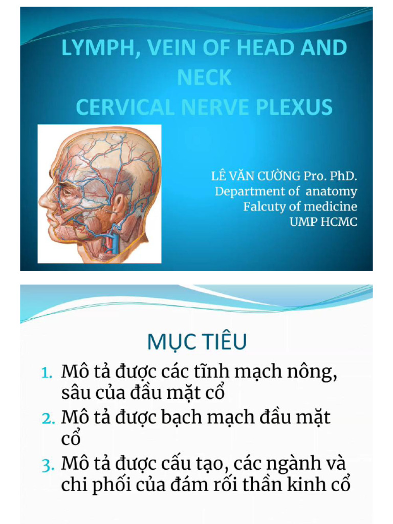 8.2 Tĩnh M CH, B CH M CH | PDF