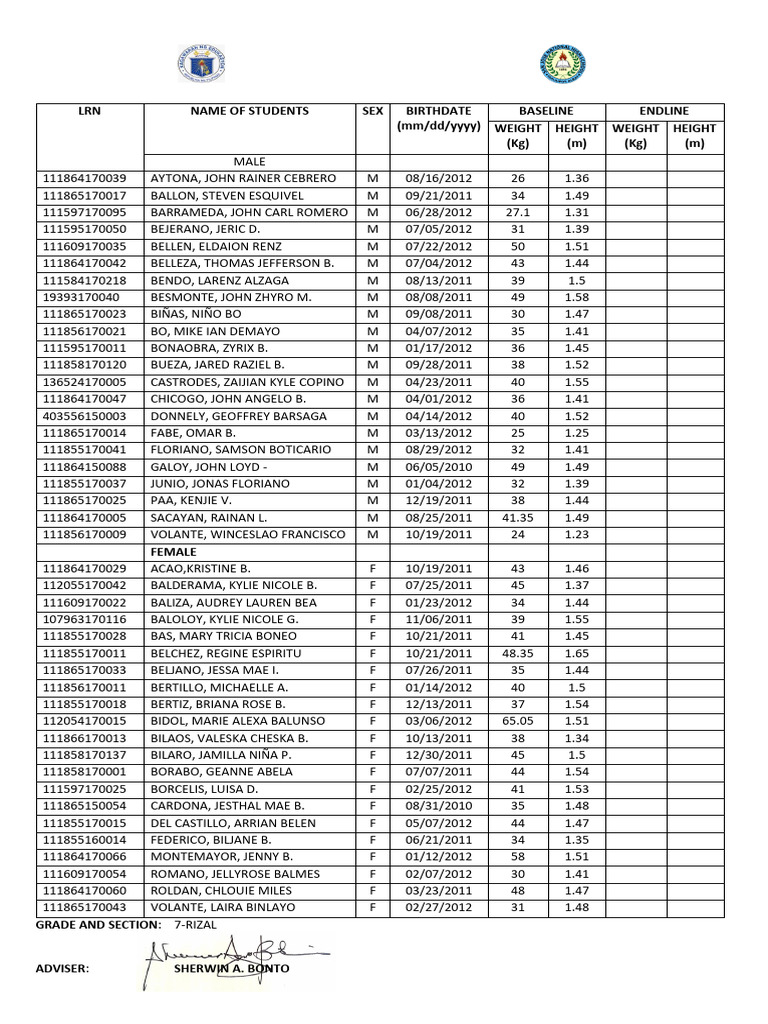 Bmi Template SY 2024 2025 | PDF