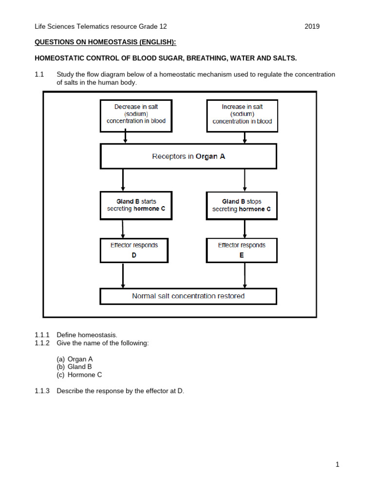 Questions On Homeostasis | PDF | Homeostasis | Glucose