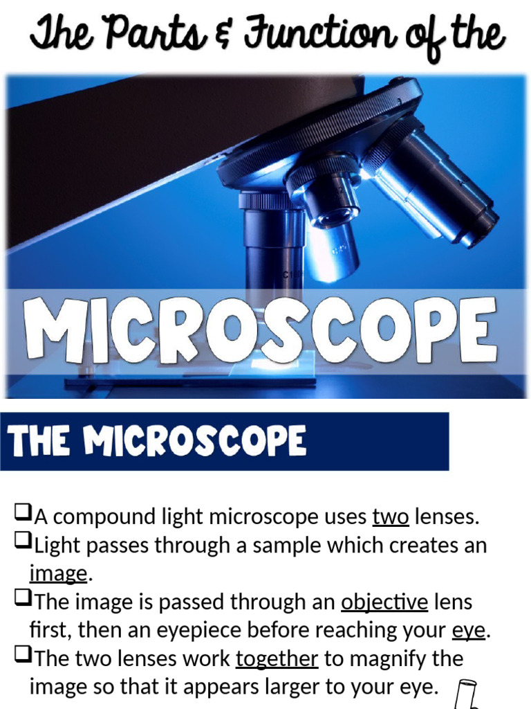 Microscope+Lesson | PDF