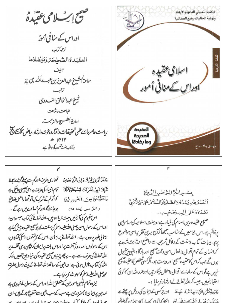 Book Urdu | PDF