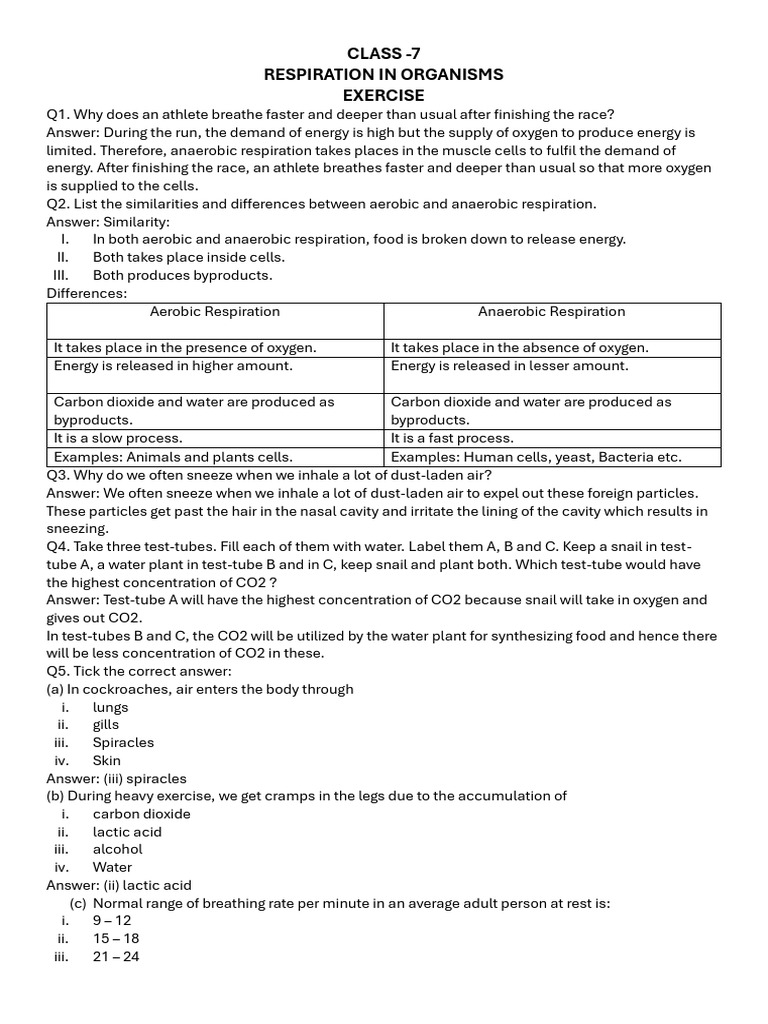 Respiration in Organisms: Class 7 Exercise | PDF | Cellular Respiration ...