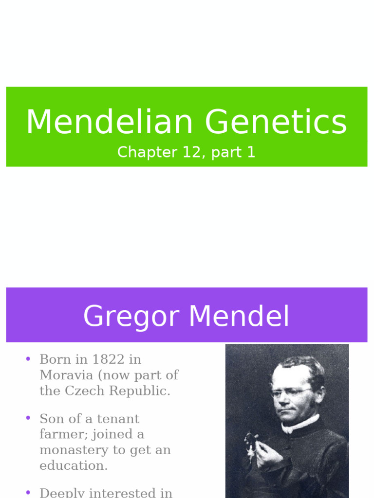 Ch12a Mendelian Genetics | PDF