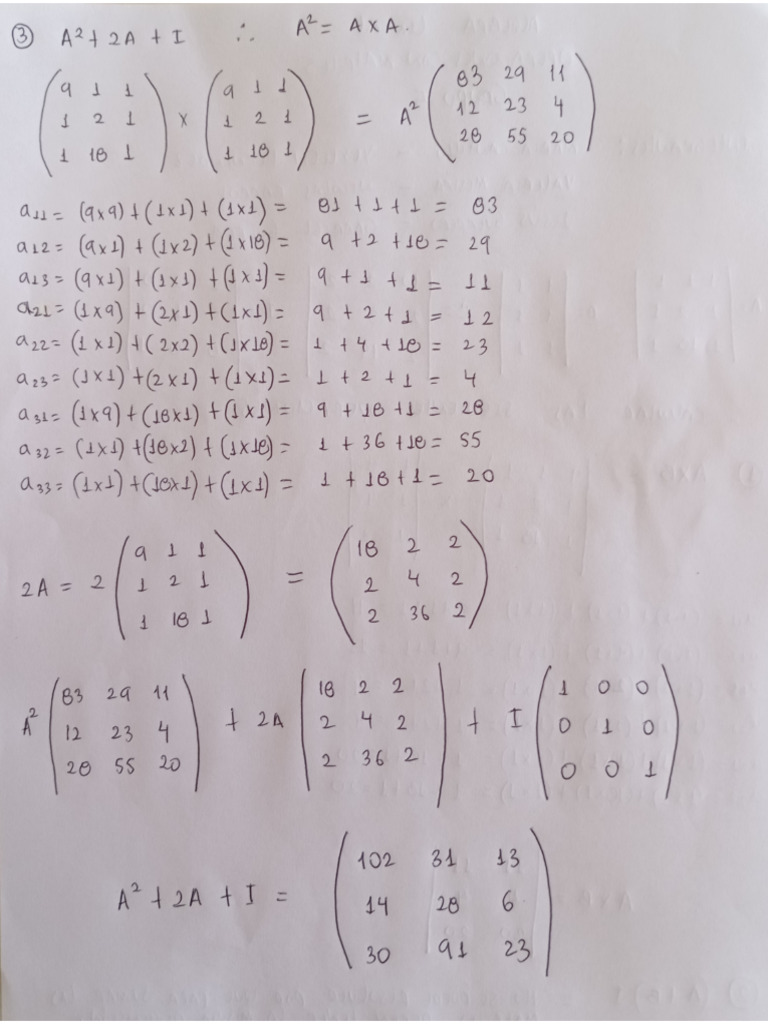 Matrices 2 | PDF