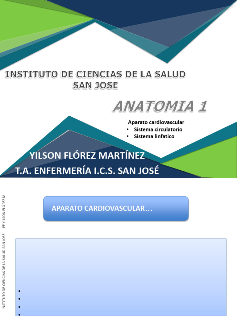 aparato cardiovascular ANATOMIA 1 | PDF