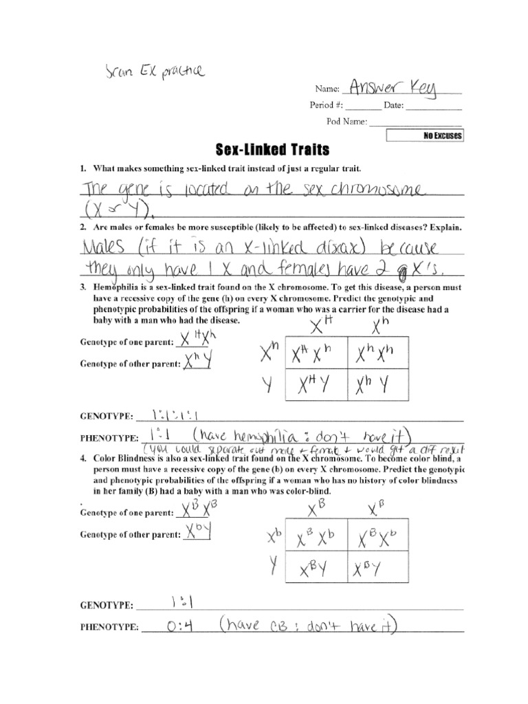 Sex Linked Traits Practice Key | PDF