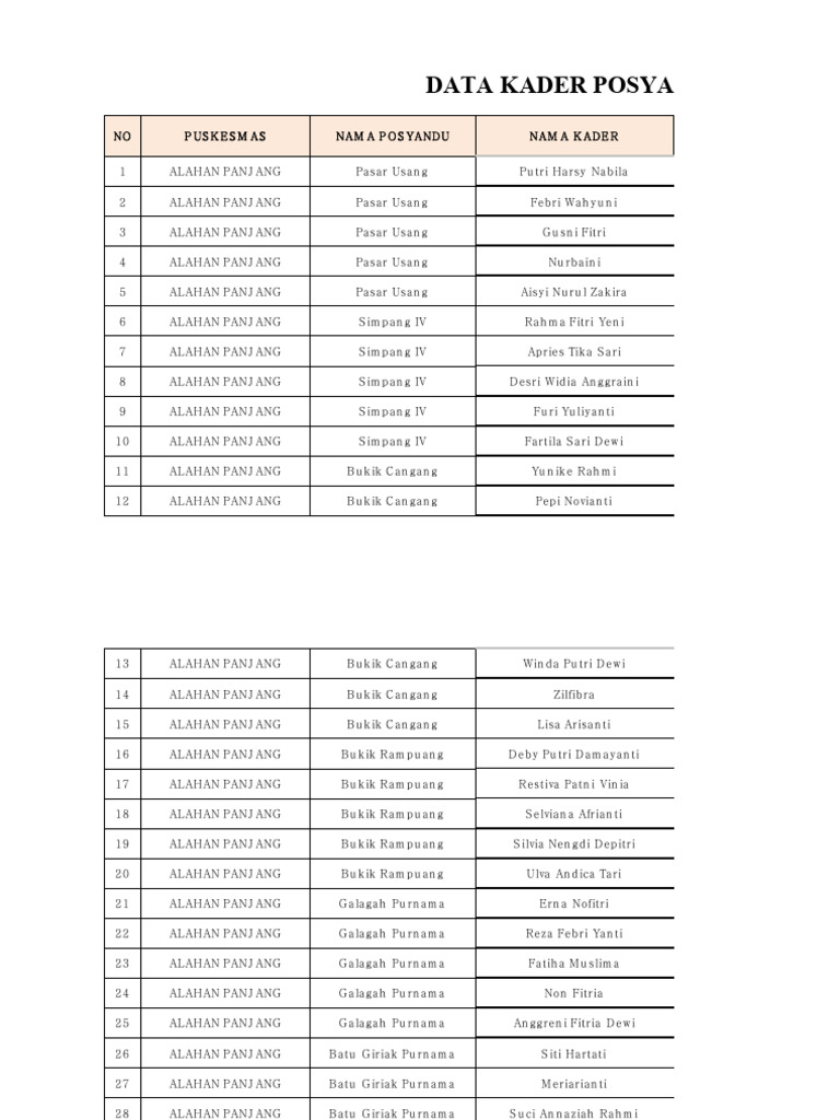 Data Kader Posyandu Tahun 2024 Ok Bana Ii | PDF