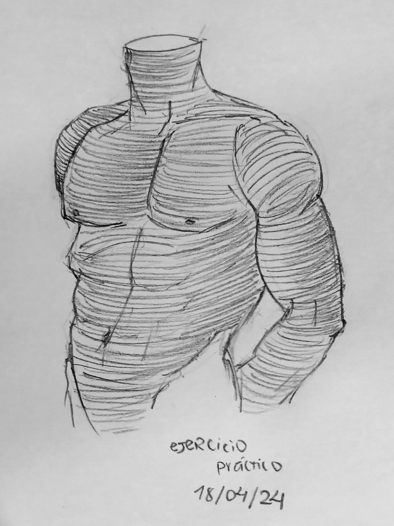 Estudio Del Torso | PDF