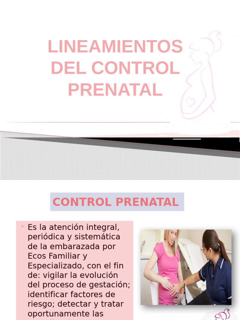 Lineamientos de Control Prenatal | PDF
