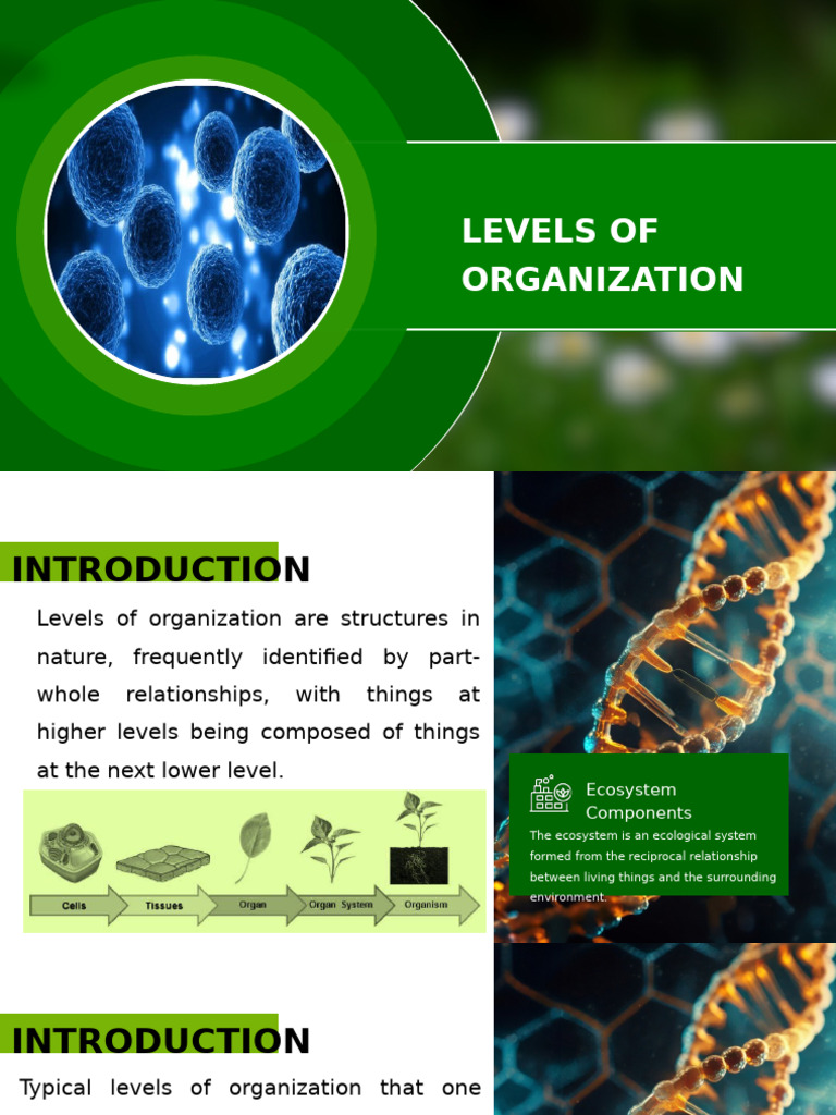 Lesson 1-Levels of Organization | PDF | Cell (Biology) | Endoplasmic ...