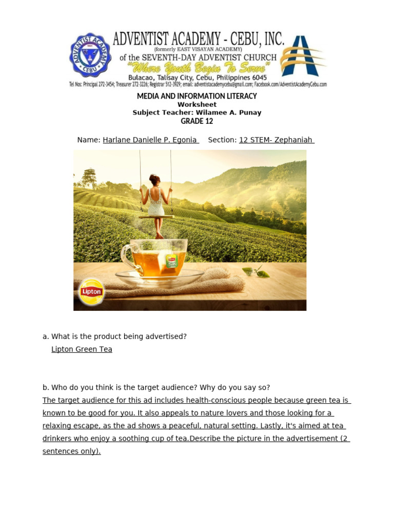 MIL Lesson 4 Worksheet | PDF