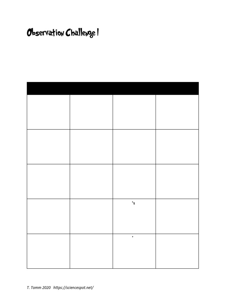 Observation Challenge 2020 | PDF