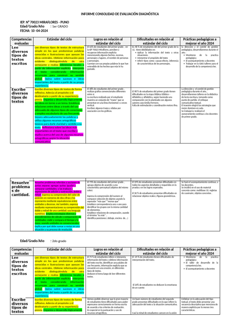 Informe Consolidado Prueba Diagnostica Miraflores 2024 | PDF