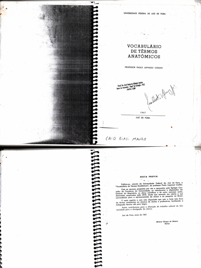 Vocabulario Termos Anatomicos | PDF