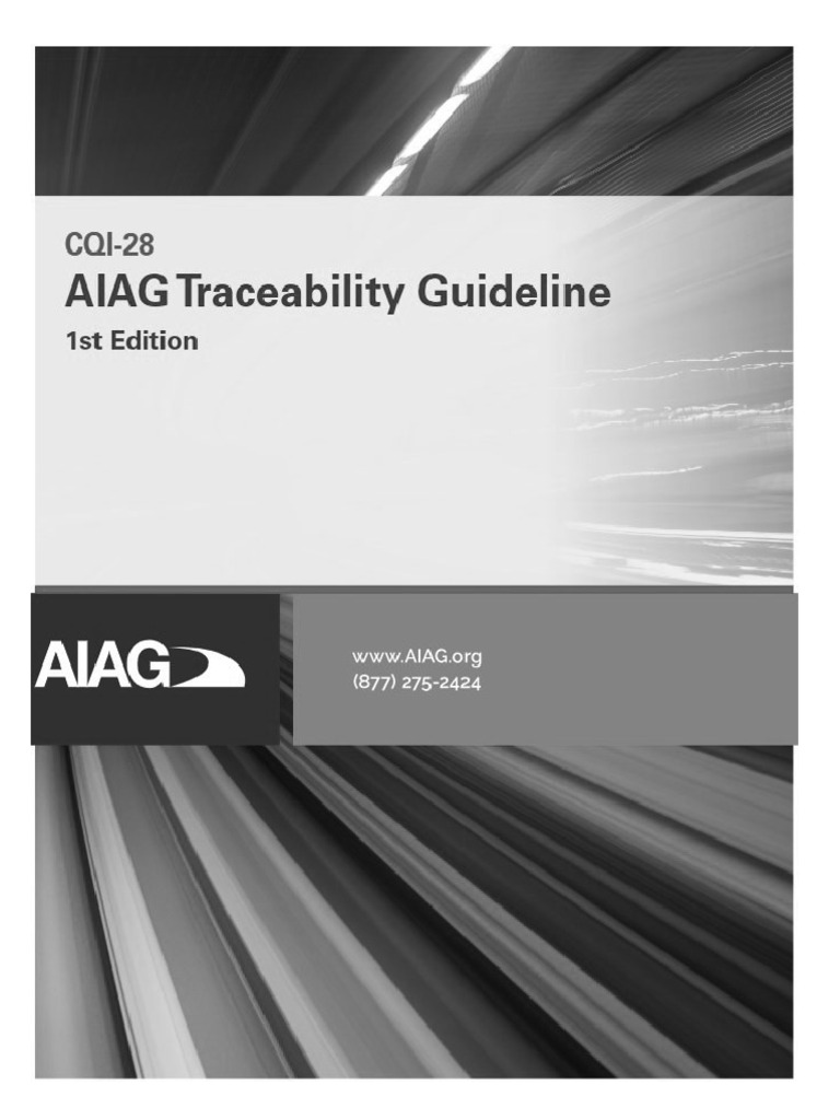 Aiag - Cqi-28 | PDF