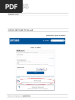 ANSES - Formulario USI-07 | PDF | Internet | Red mundial