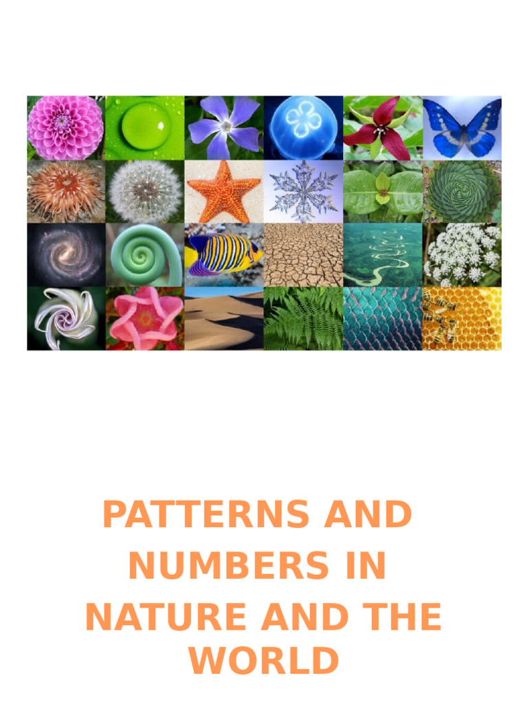 Patterns and Numbers in Nature and The World | PDF | Teaching Methods & Materials