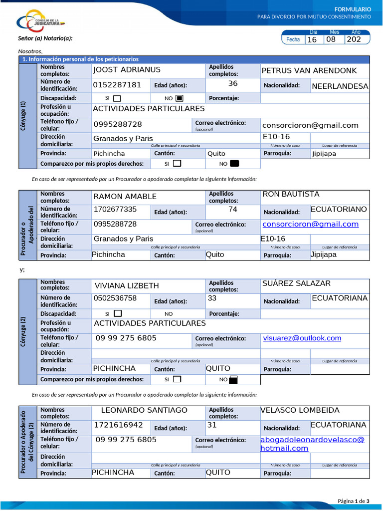 Anexo - Formulario para Divorcio FINAL | PDF