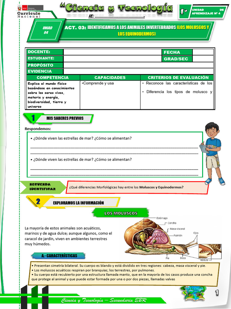 B-1º Act 3 Cyt Unid 4 - Sem 2 | PDF