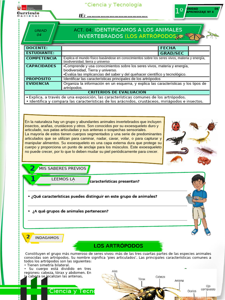 B-1º Act 4 Cyt Unid 4 | PDF