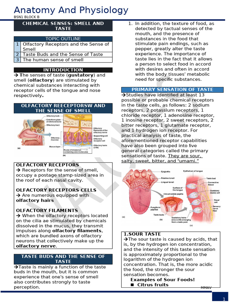 CHEMICAL SENSES-SMELL AND TASTE | PDF