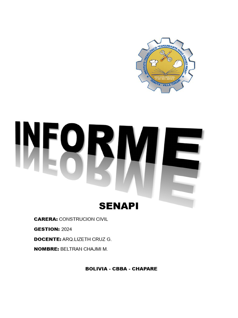 Informe de Senapi | PDF