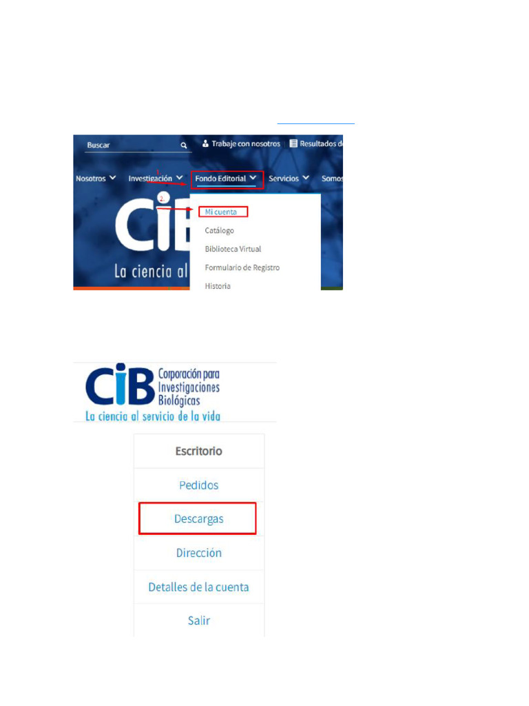 Guia - CIB - SPIRAL READER | PDF