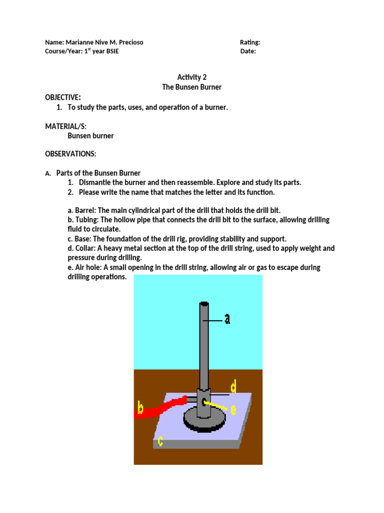 Activity Chemistry Lab Bunsen Burner | PDF