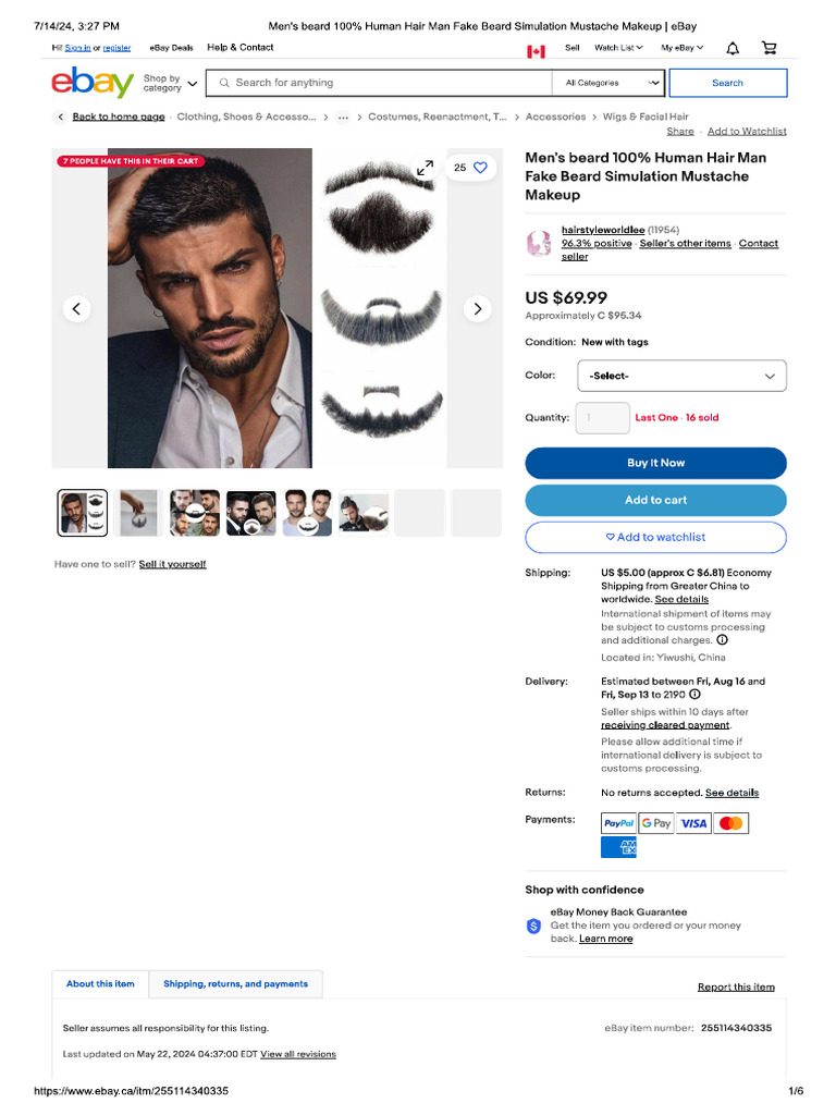 Man Fake Beards | PDF