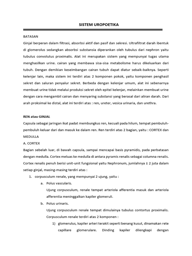 BPP Histo Uropoetika | PDF