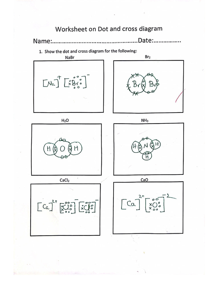 ws on dot and cross diagram | PDF