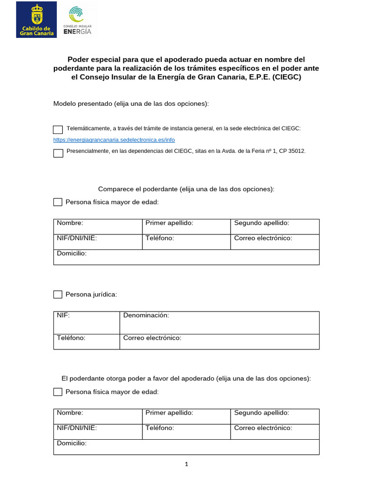 Modelo de Poder Especial | PDF