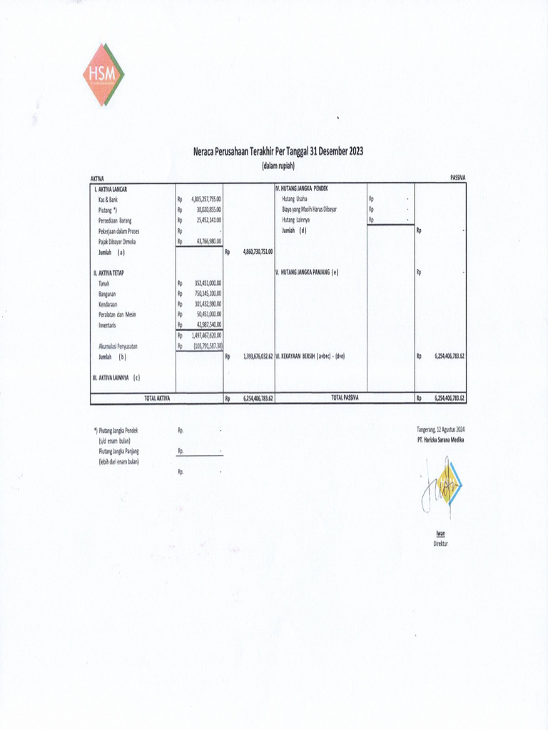 Neraca HSM 2024 | PDF