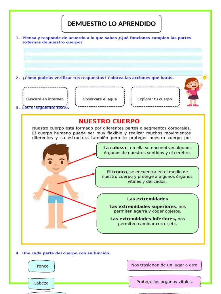 Fichas de Cta | PDF